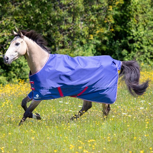 Sheets and blankets fly, turnout, stable, winter – Griffinbrook.com